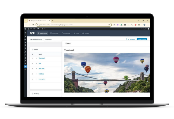 Plugin Advanced Custom Fields For Wordpress